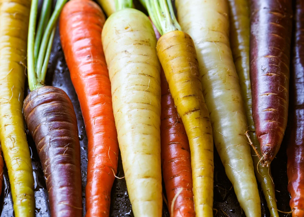 Science of Carrots - Year 7 & 8 - Fresh Food Schools